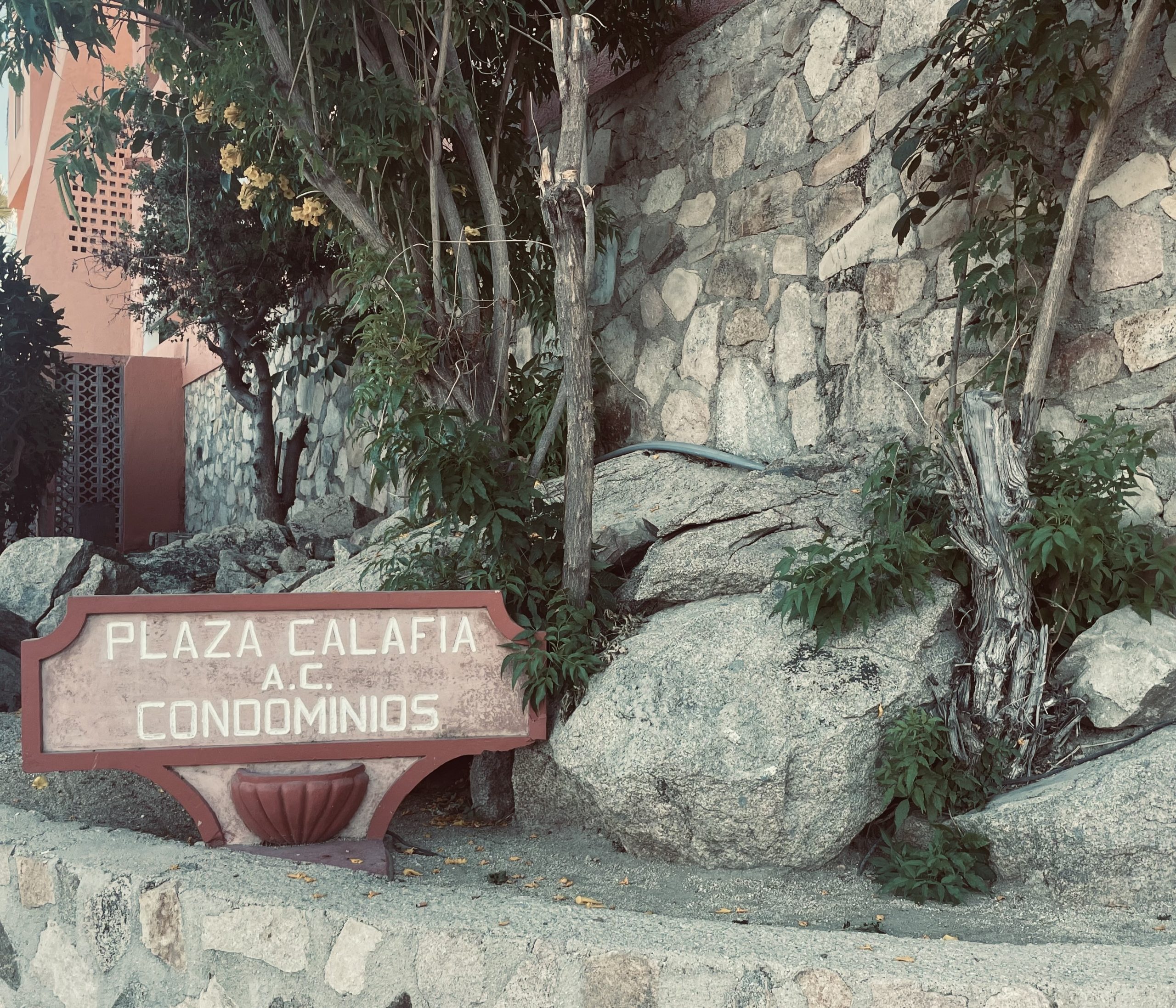 Cabo San Lucas, Mexico | Dylan Lochhead
